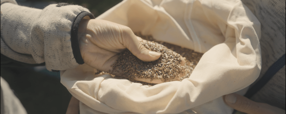 Our-holistic-approach-to-uncompromising-quality