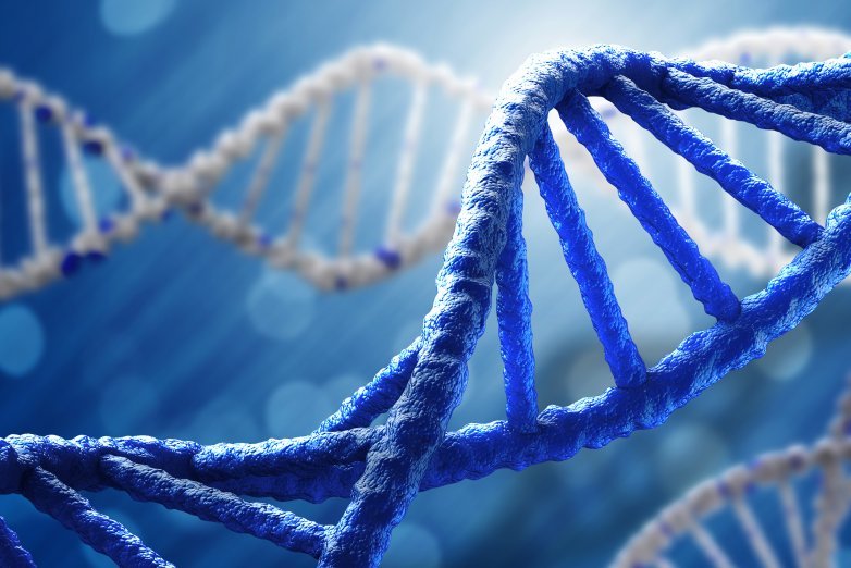 Patogénesis enfermedad celíaca - Dr. Schär Institute