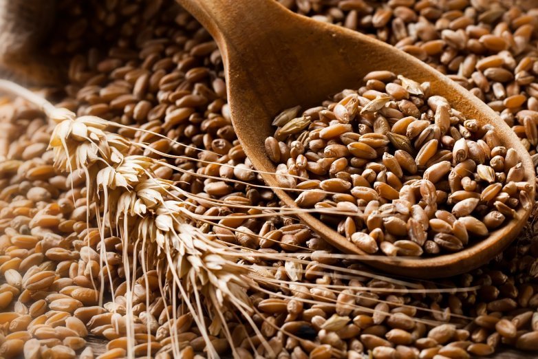 wheat-intolerance-and-chronic-gi-symptoms