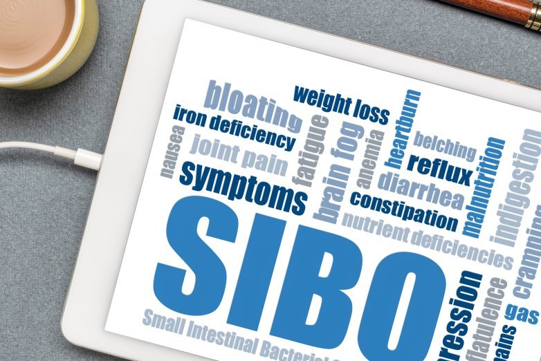 Understanding SIBO - Dr. Schär institute