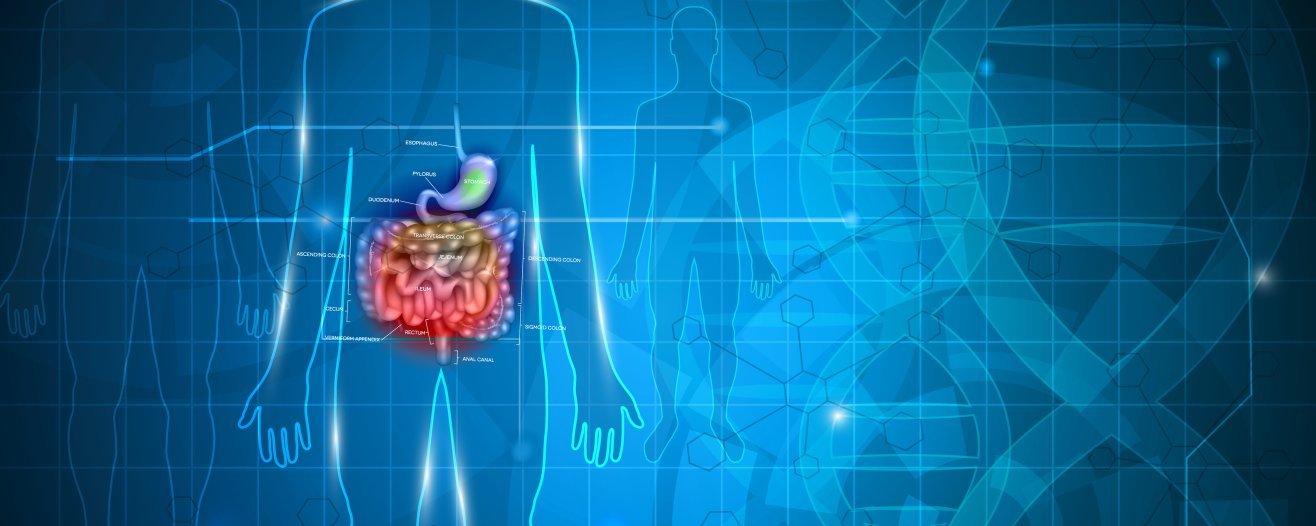 Genética e inmunología de la enfermedad celíaca ultra corta - Dr. Schär ...