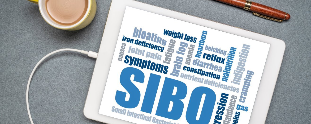 Understanding SIBO - Dr. Schär institute
