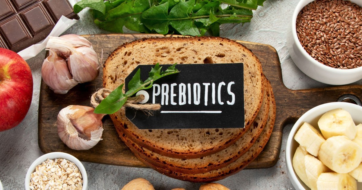 Prebióticos y salud intestinal-Dr. Schar Institute